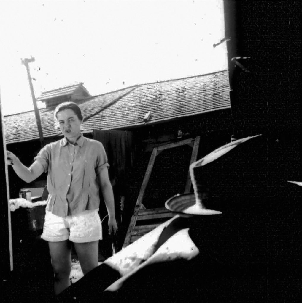 Chronology | VIOLA FREY